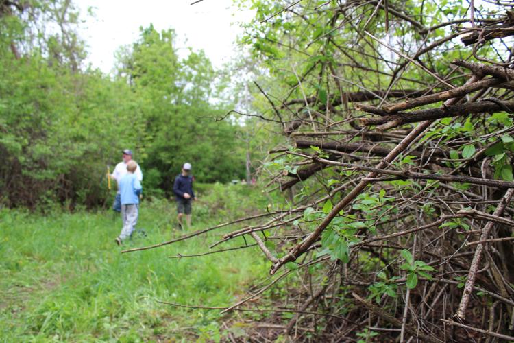 Volunteers help clear Olmsted Trail | News | nny360.com