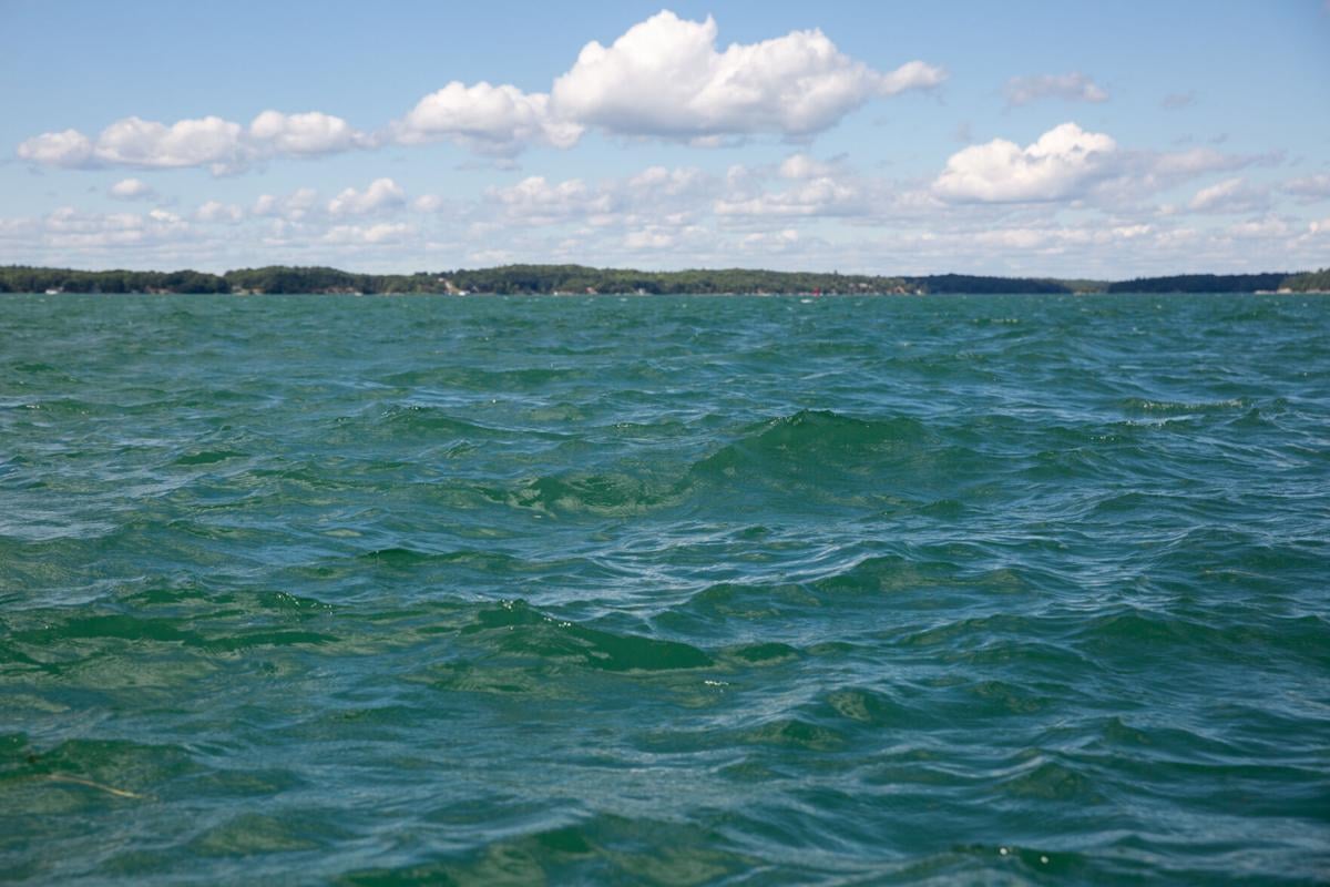 Lake Ontario, St. Lawrence River’s emerald green water caused by ...