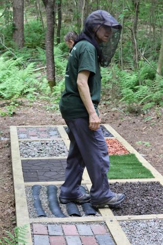 New Sensory Trails open in Natural Bridge, Redwood | Kidscontent ...
