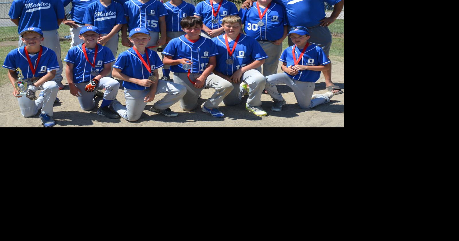 Maples Baseball Program Enjoying Fine Summer | Sports | nny360.com