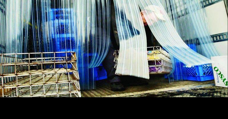 UNFLAPPABLE | News | nny360.com