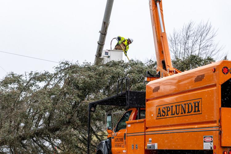 Tree service contractors looking at weeks of work ahead, urging people ...