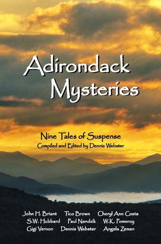 Books of local interest | Arts and Life | nny360.com