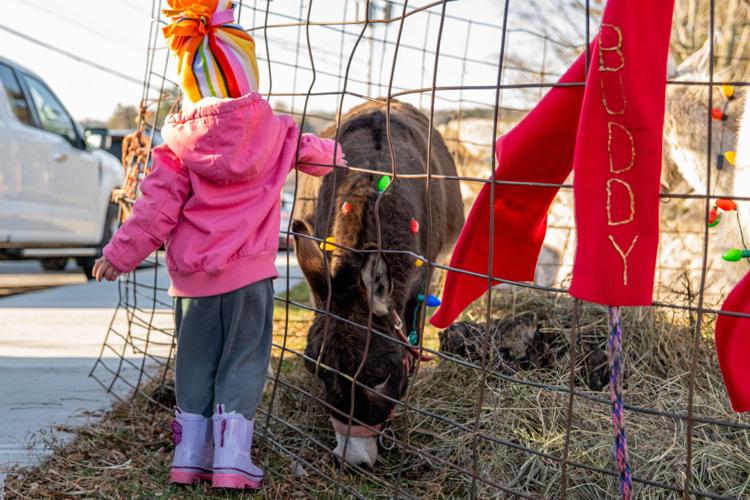 Alex Bay hosts 1000 Islands River Santa Festival | Kidscontent | nny360.com