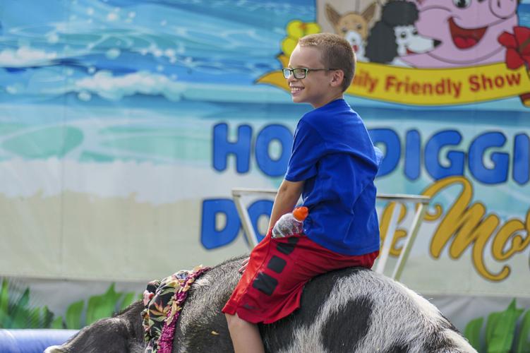 Photos from the Oswego County Fair 2022 | Arts and Entertainment ...