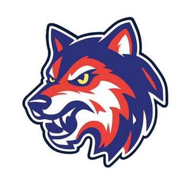Local pro hockey: Watertown Wolves unveil new logo, colors | Pro Sports ...