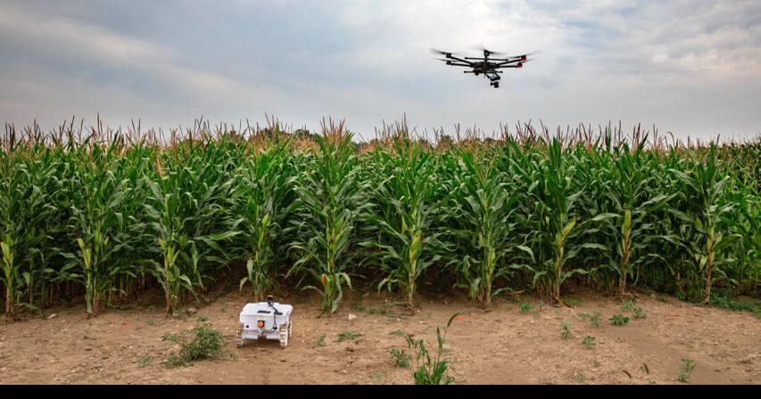 Robots, drones and driverless tractors: Ushering in a new age of farming | Business | nny360.com