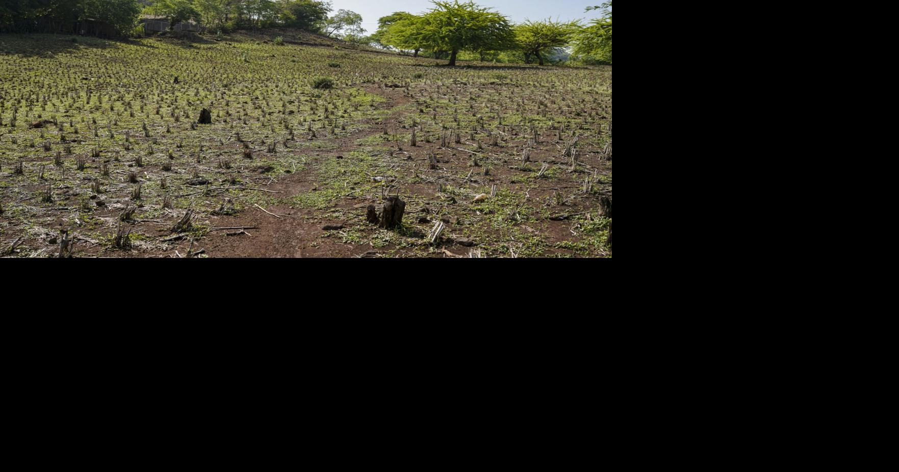 June was world’s hottest on record | Top Stories | nny360.com