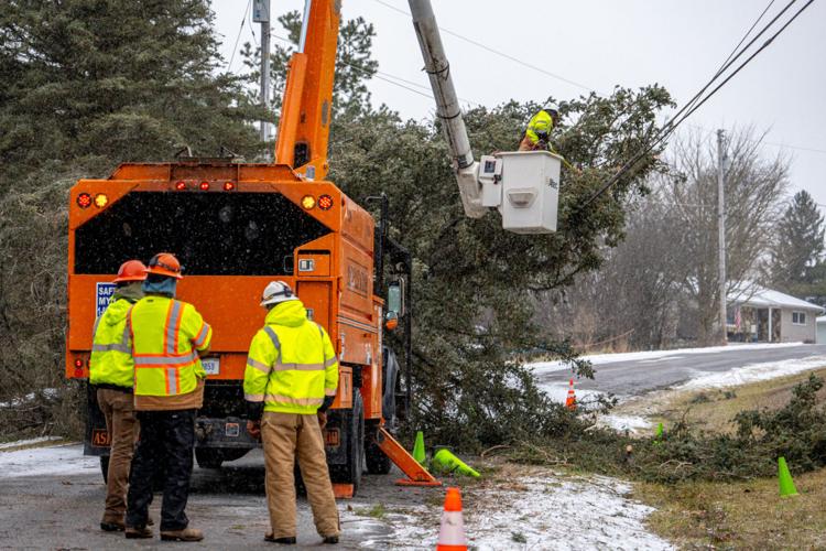 Tree service contractors looking at weeks of work ahead, urging people ...