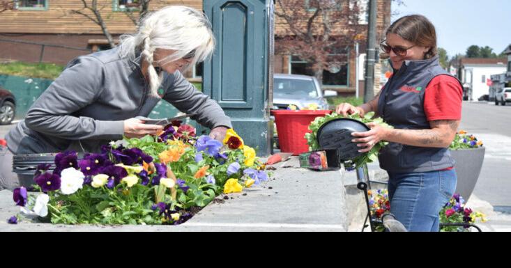 Photo: Main Street smells of spring | Home and Garden | nny360.com