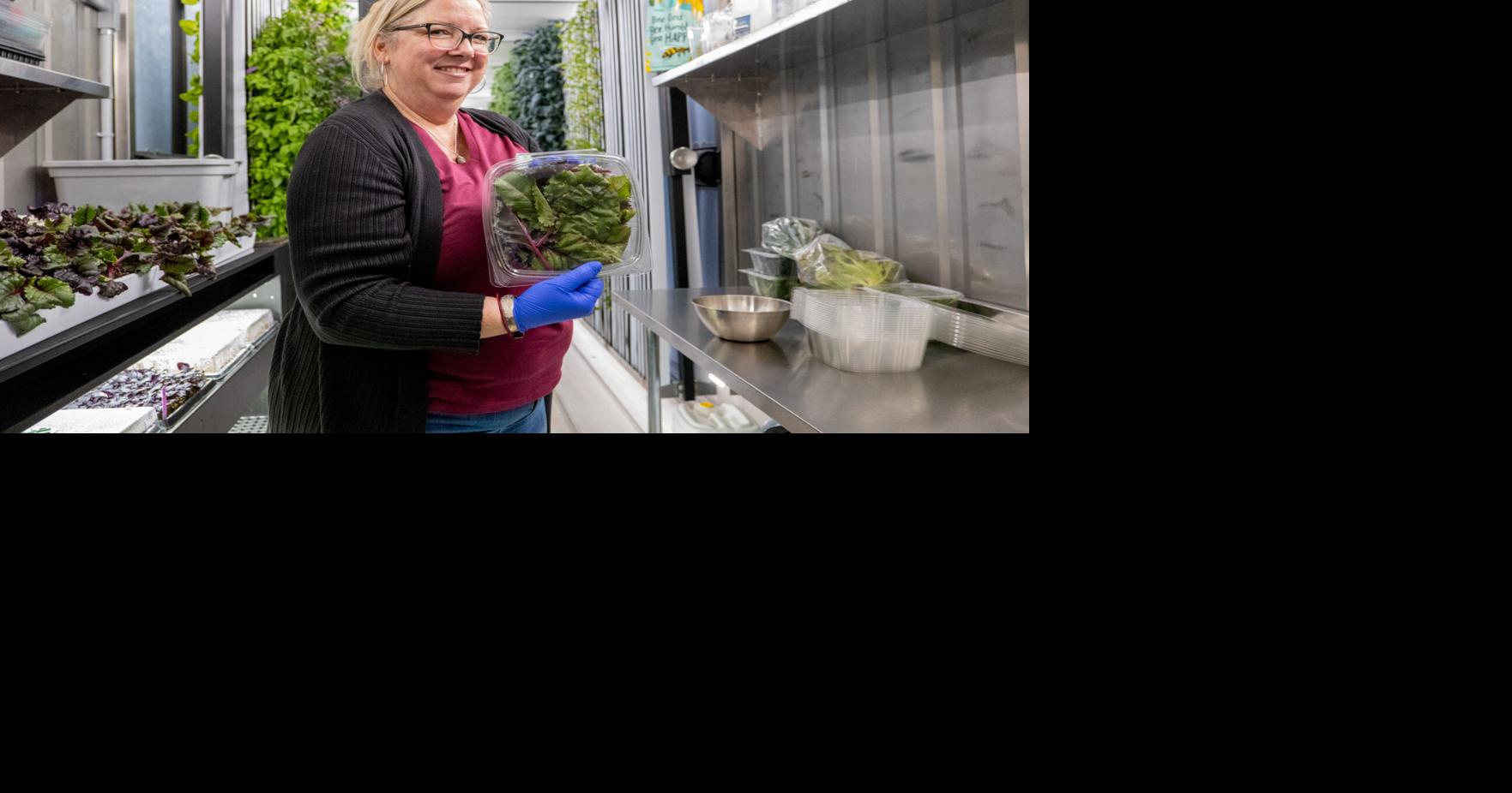 Small hydroponic farm inside freight container showing big results in ...
