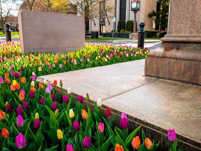 Flower Monument’s tulip blooms welcome spring | Community Notes ...
