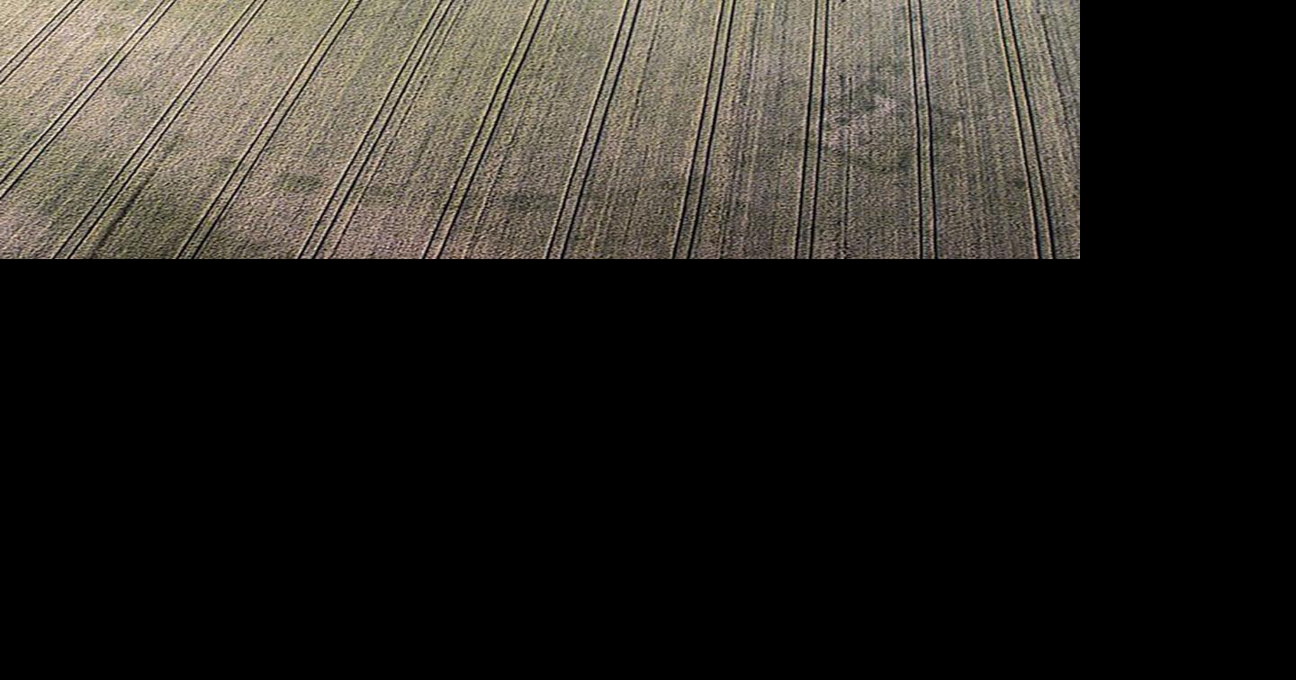 Ancient Irish henge revealed | News | nny360.com