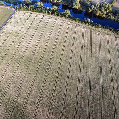 Ancient Irish henge revealed | News | nny360.com