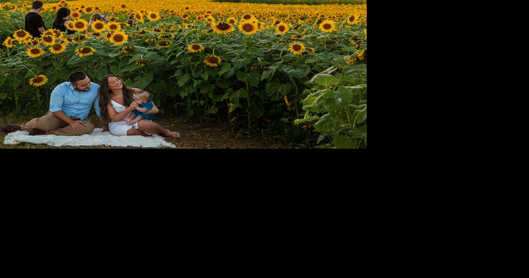 A Central New York farm that offered food and fun for nearly 25 years ...
