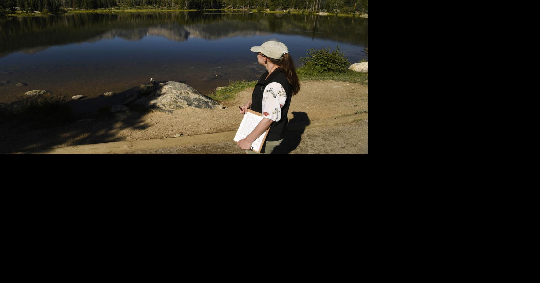 Insect apocalypse? The campaign to save bugs from extinction and avert ...