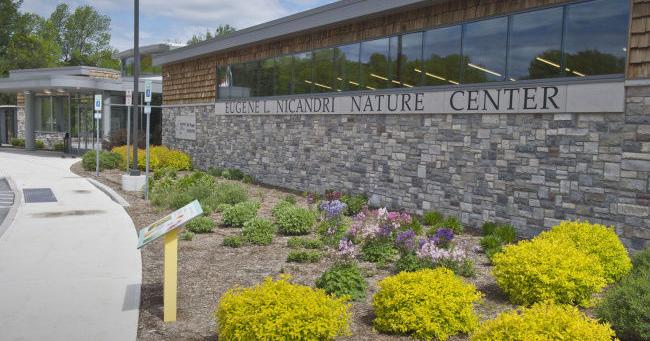 Invasive species focus of Lowville event | St. Lawrence County News ...