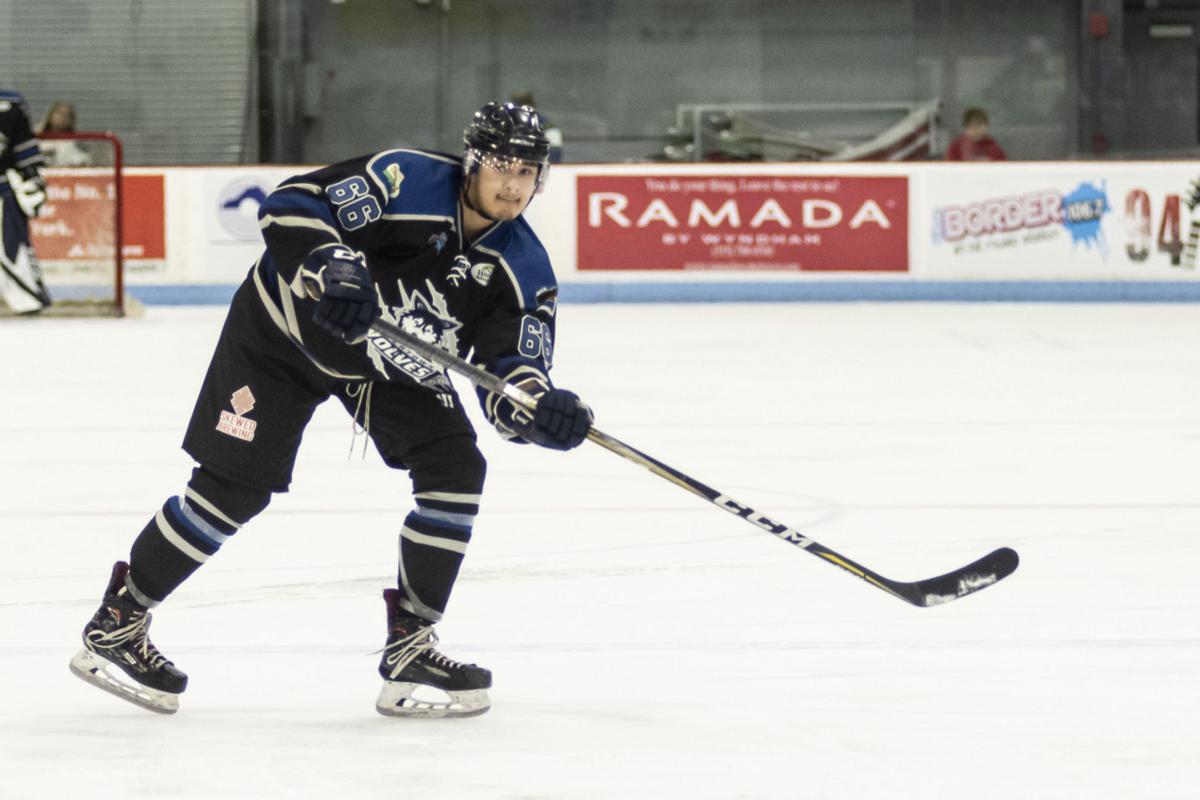 Local pro hockey: Watertown Wolves hit the road for two weeks | Wolves ...