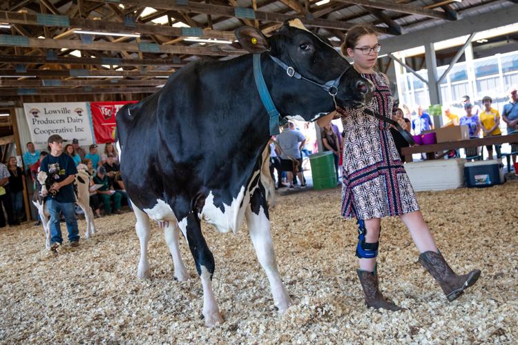 201st Lewis County Fair opens | Lewis County News | nny360.com