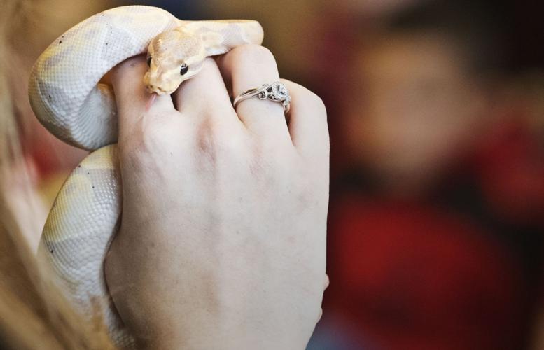 Some new friends | News | nny360.com