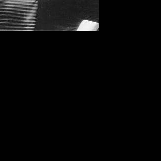 Joanna L. Colman, Ryan H. Fabello | Arts and Life | nny360.com