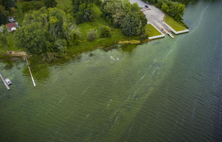 SLC Public Health warns of harmful algal bloom on Black Lake | Public ...