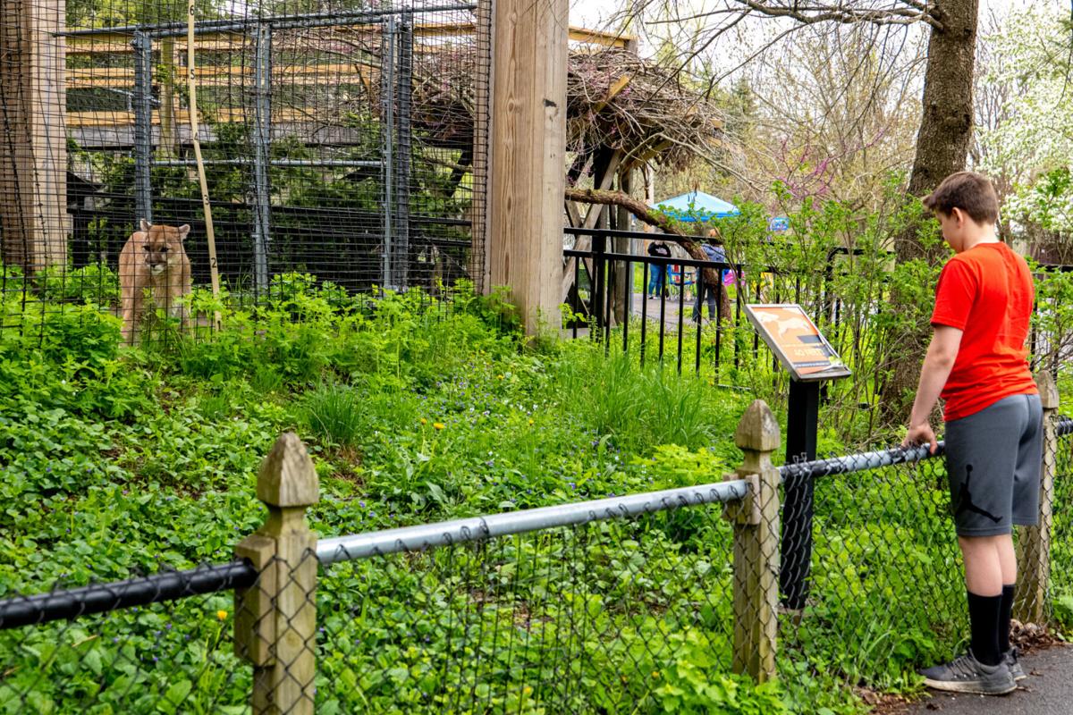 Zoo New York receiving $250,000 from city | Community Notes | nny360.com