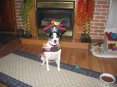 Stewart: Toby | Arts and Life | nny360.com
