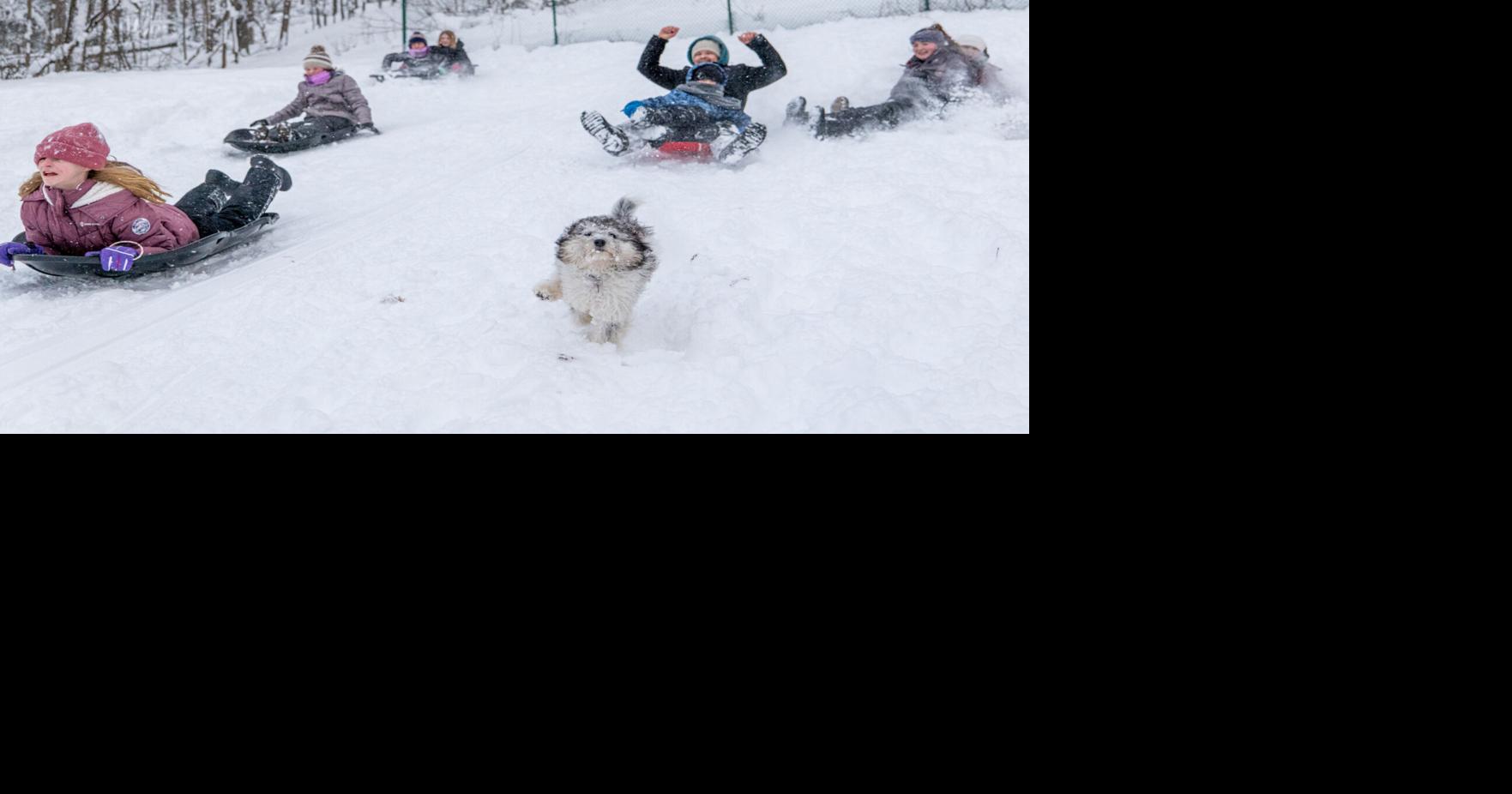 Snow-day sledding | Kidscontent | nny360.com