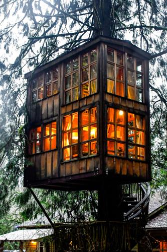 Treehouse hotel sits in an otherworldly forest near Seattle | Travel ...