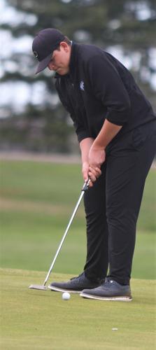 High school sports: OFA Golfers rebound to season low round | Section ...