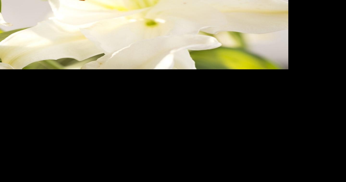 Catherine “Katie” Morello | Obituaries | nny360.com