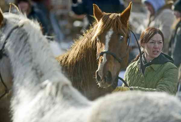 Pair plead guilty to animal cruelty charge | News | nny360.com