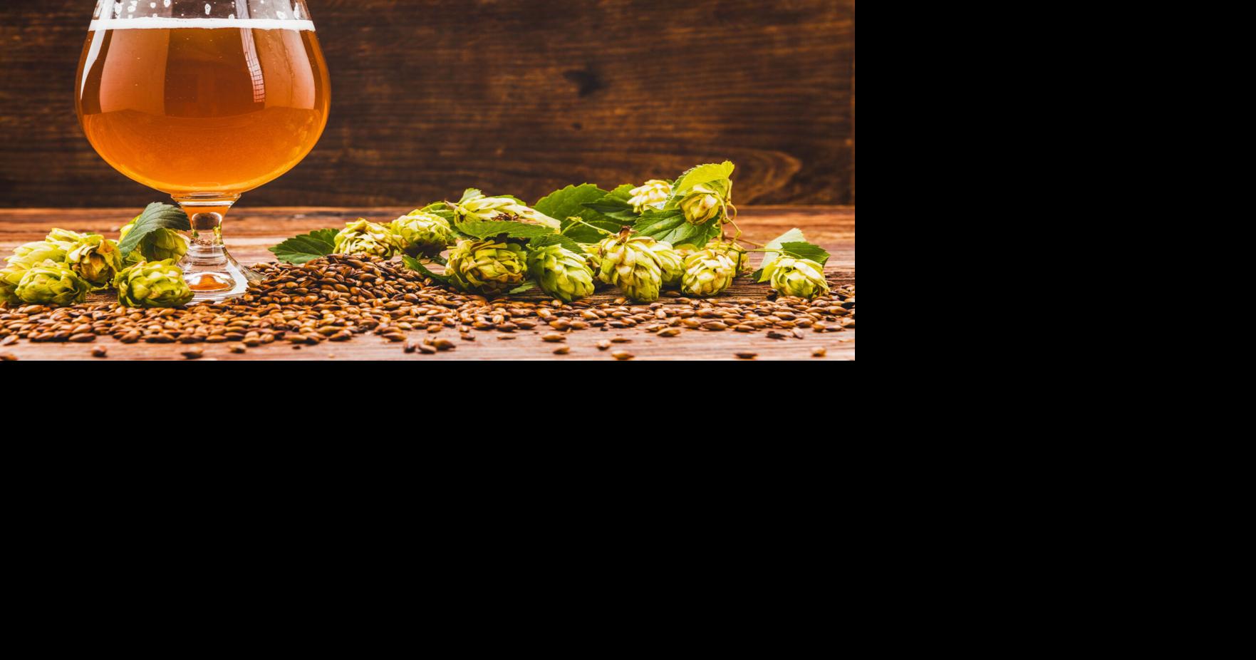 New hops breeding program will grow, develop signature New York ...