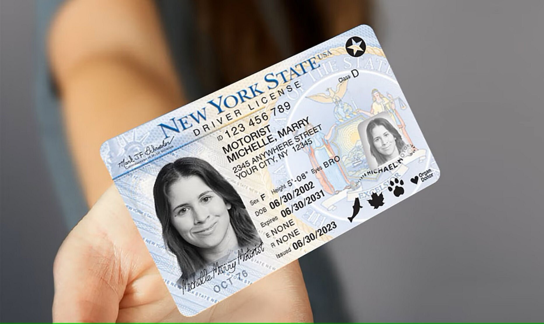 REAL ID vs. Enhanced driver’s license: What you need to know as ...