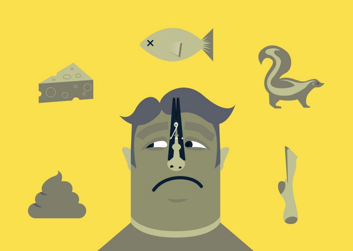 Smelly house? Fresh ways to eliminate household odors | | nny360.com