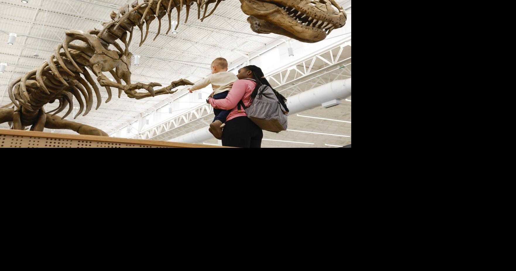 20-foot T. rex at Texas library brings past to life | Kidscontent ...
