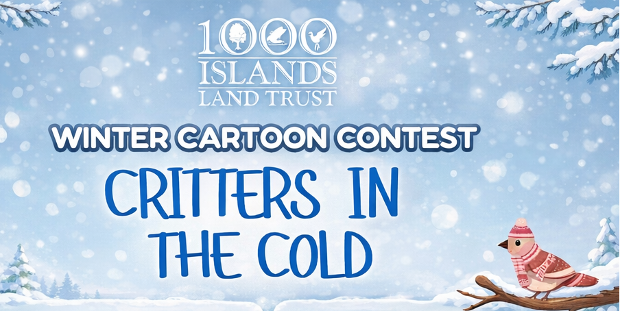 Thousand Islands Land trust hosting ‘Critters’ cartoon contest | Arts ...