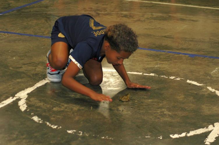 Speedy frogs highlight 2025 Boss Frog competition at Massena Arena ...