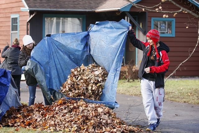 Potsdam Rustles Up Helpers Leaf Cleanup Suny Athletes Rake Tidy Yards