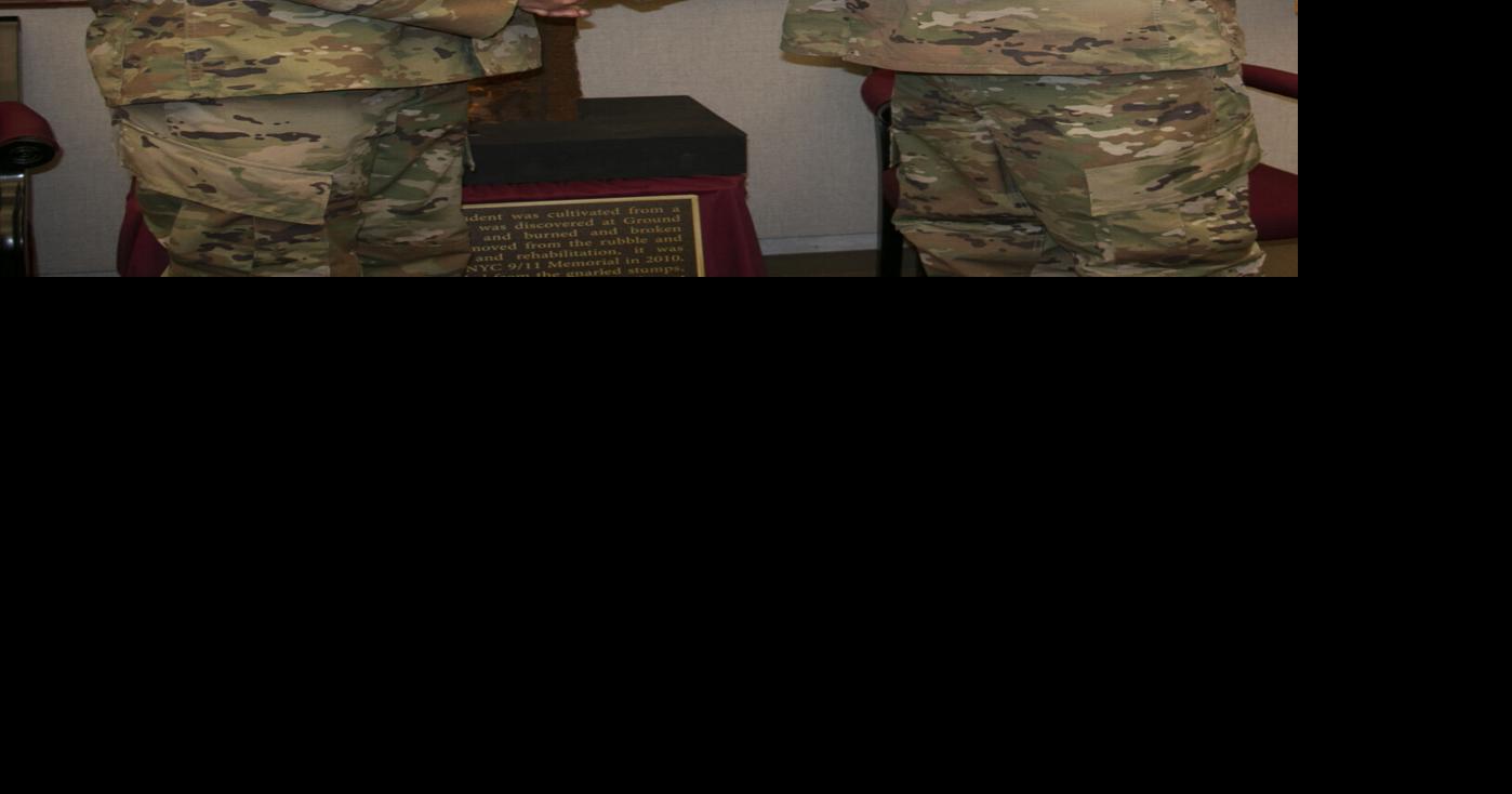 Fulton resident promoted to technical sergeant in New York Air National ...