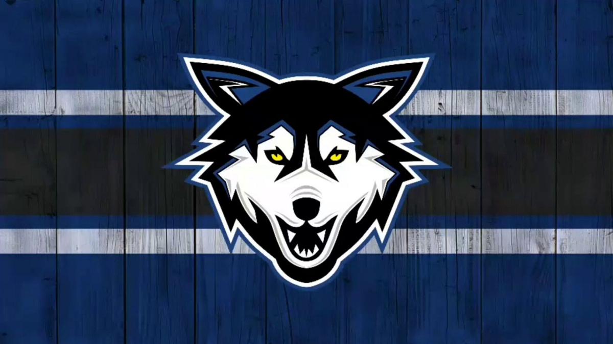 Local pro hockey: Jesseau sparks rally as visiting Venom defeat Wolves ...