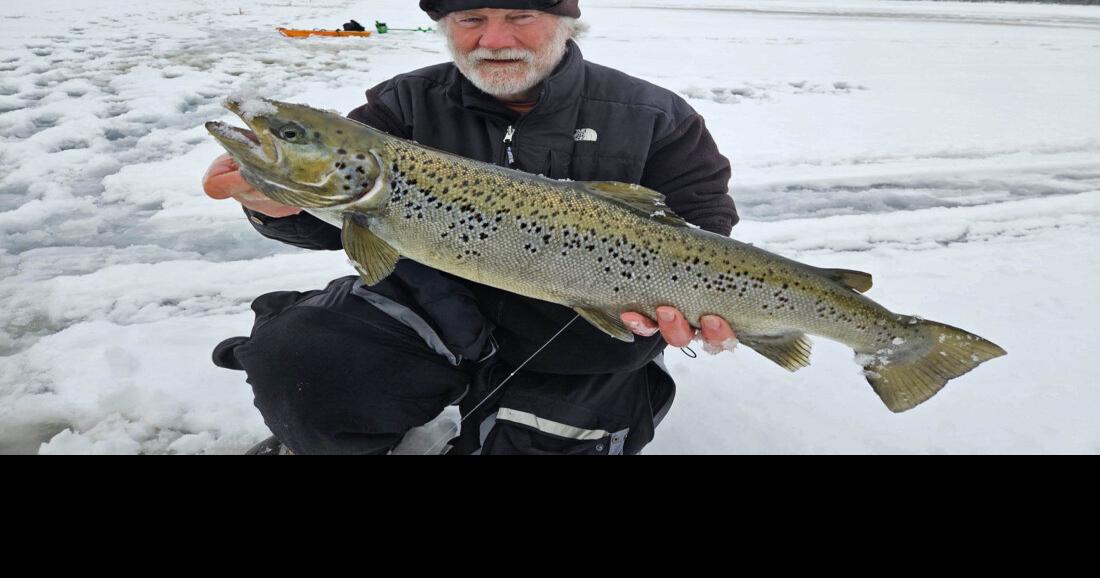 Big catch on Lake Colby: Nearly 9-pound salmon took 15 minutes to reel ...