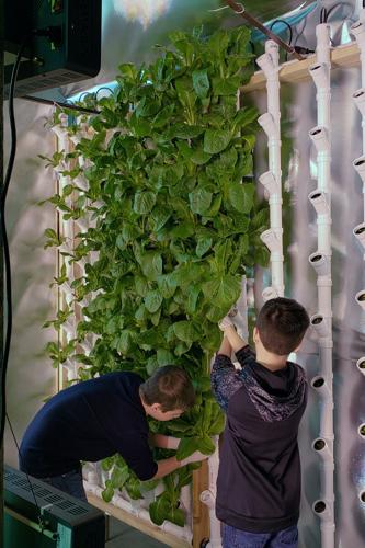 Farm-to-table program finds success at Edwards-Knox Central School ...