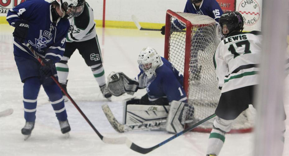 High school boys hockey: Salmon River sweeps to Section 10 Division II ...