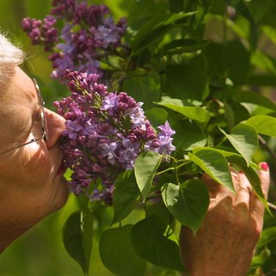 What makes spring smell like spring? | Arts and Life | nny360.com