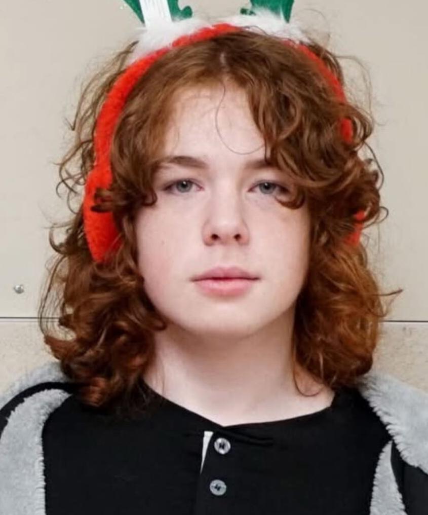 Teen taken into custody in connection with alleged murder attempt in Dexter | Jefferson County ...