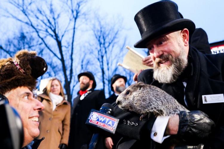 7 things you might not know about the groundhog tradition | Kidscontent ...