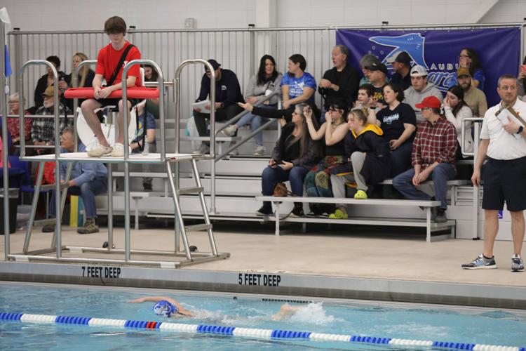 Watertown Blue Sharks host swimming championship at brand new YMCA ...