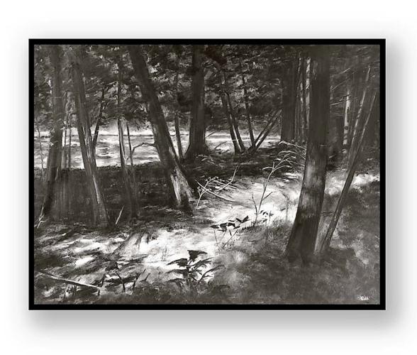 Black & white visions earn Raymondville artist twin wins | Arts and ...